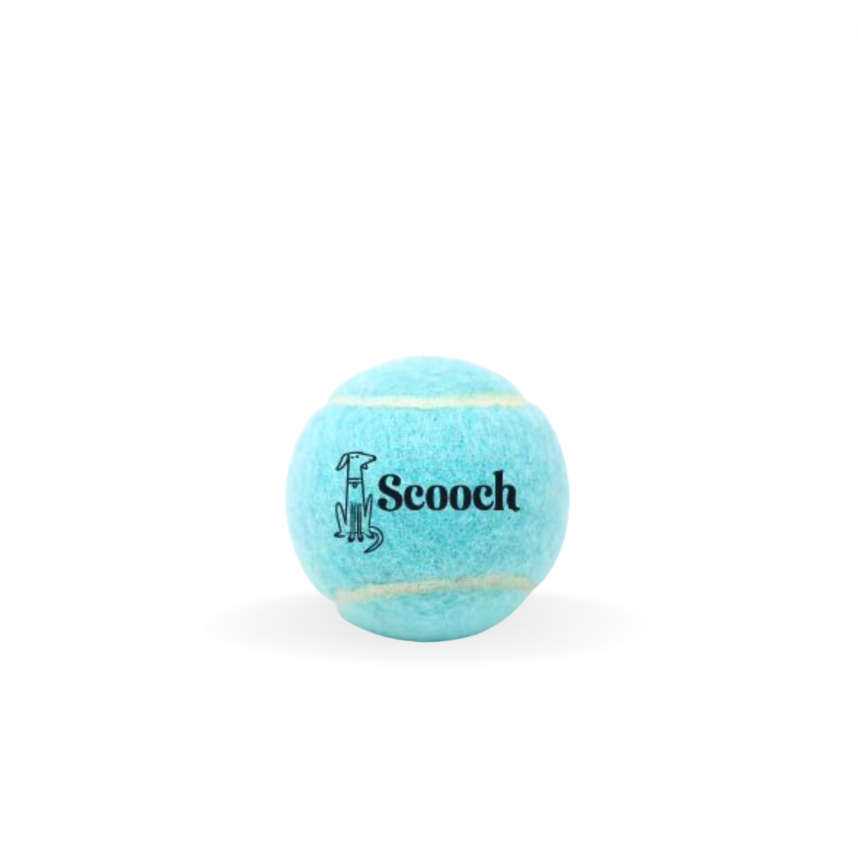 Scooch Tennis Balls